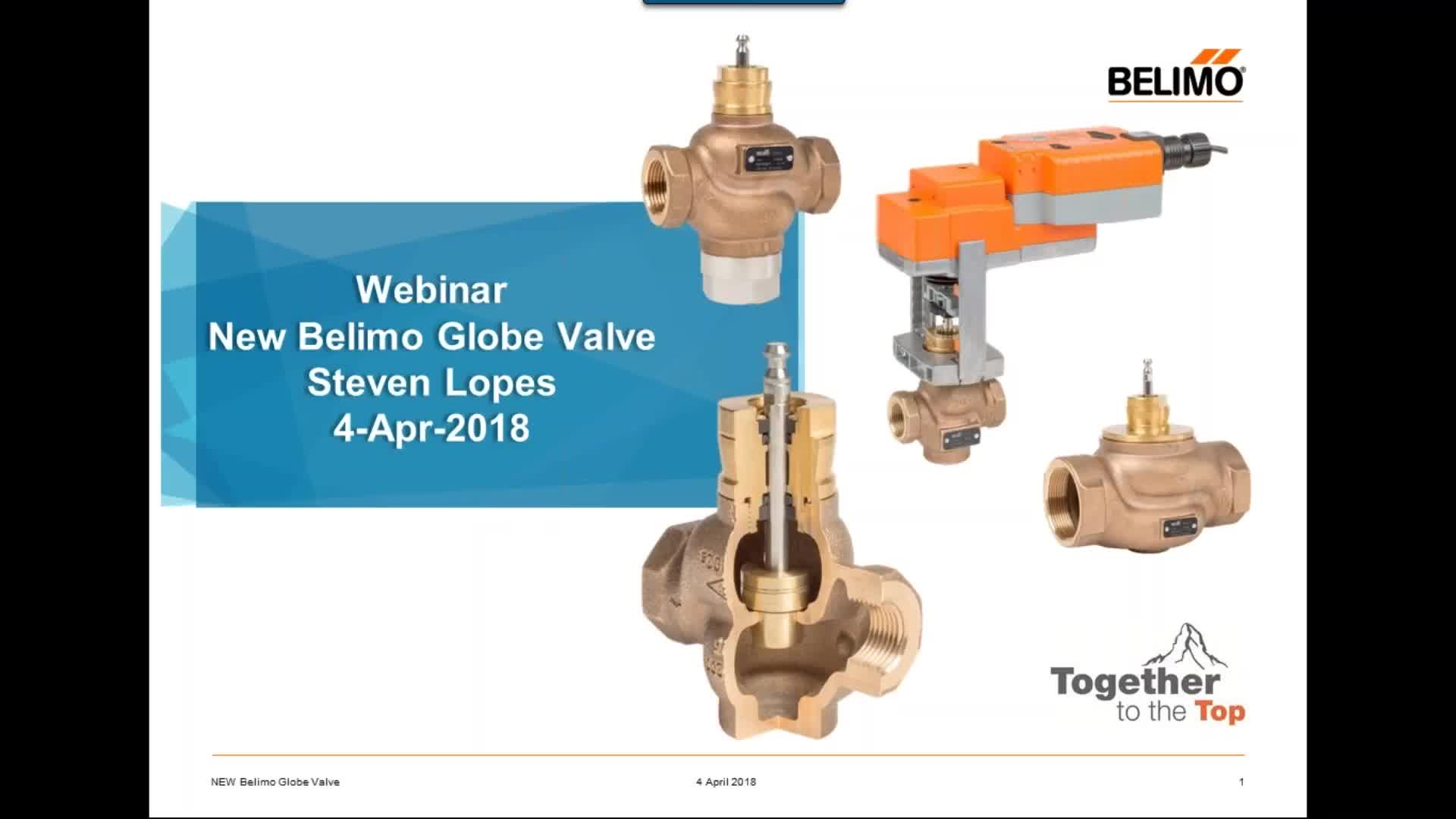 WGVL+AVKB120-3 WGVL Warren Globe valves Linkage | Engenuity Systems