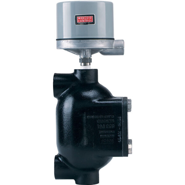 102-WT-7810-C-60 Flanged chamber type level control, SPDT snap switch ...